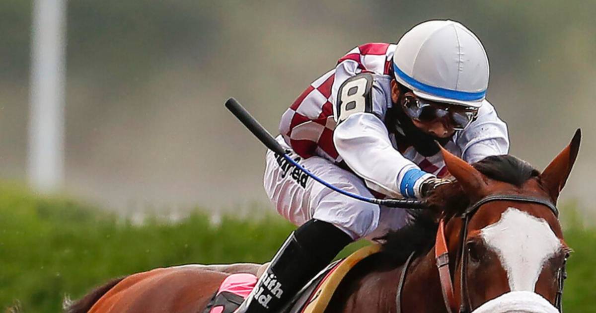 Este es el jockey puertorriqueño que se titula campeón del último ...