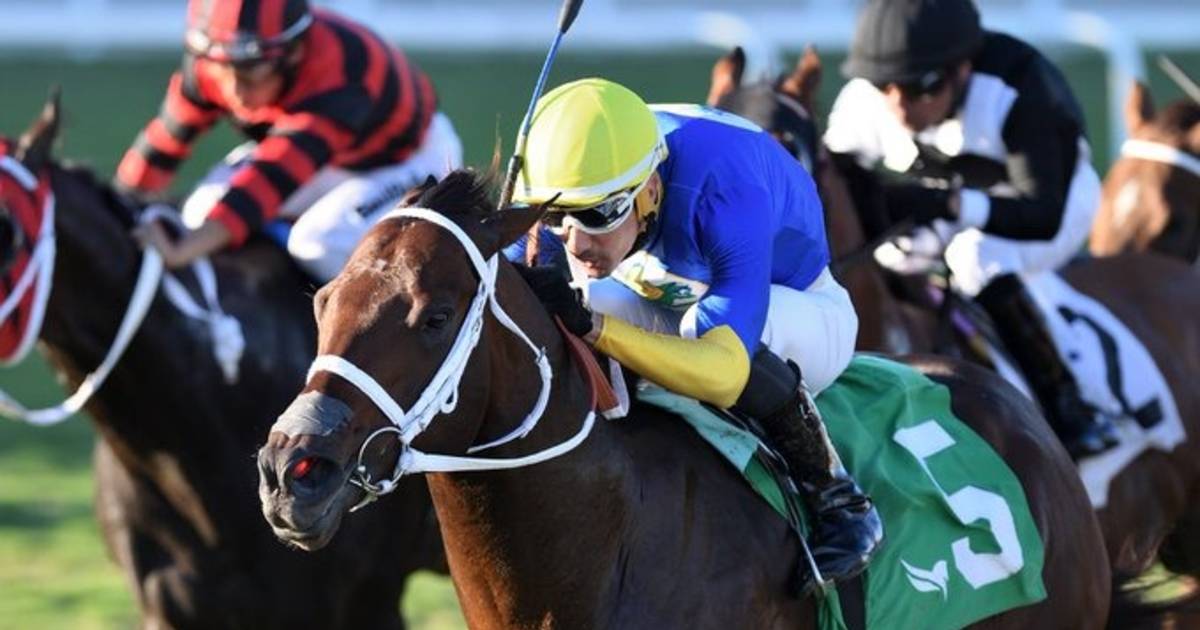 Leonel Reyes ganó el último Stakes del año del ChampionshipMeet 2023 en ...