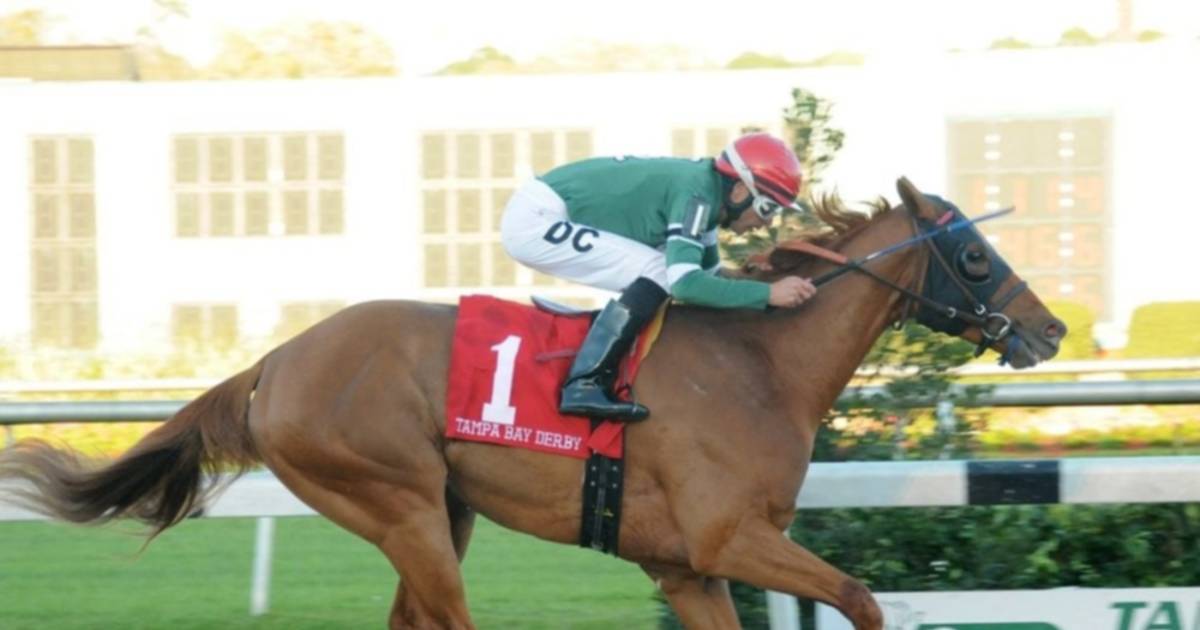 Daniel Centeno gana en Tampa Bay con ejemplar de entrenador venezolano
