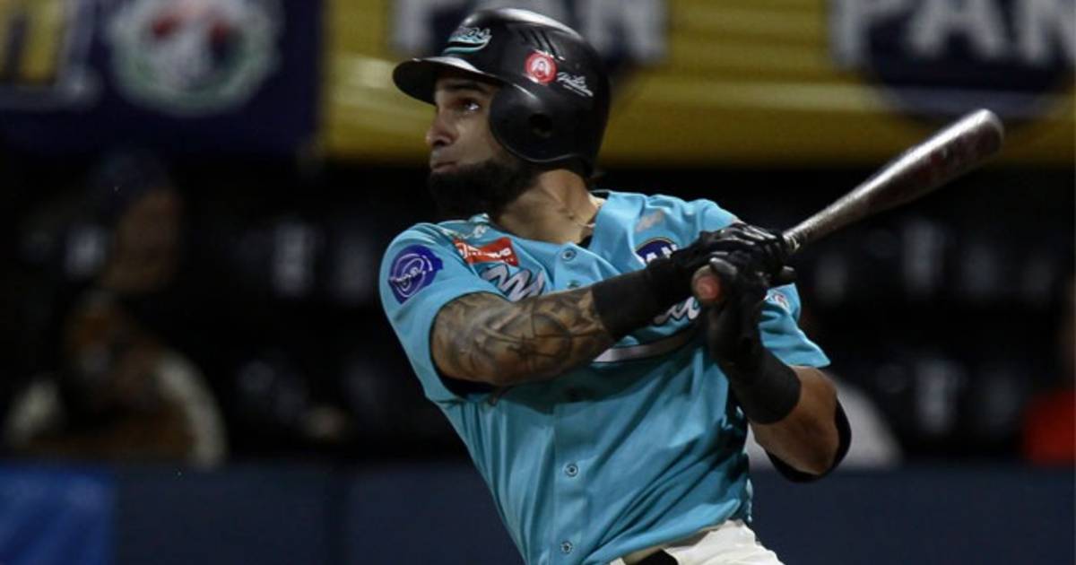 LVBP: Alí Castillo es un refuerzo de lujo para Bravos de Margarita en ...
