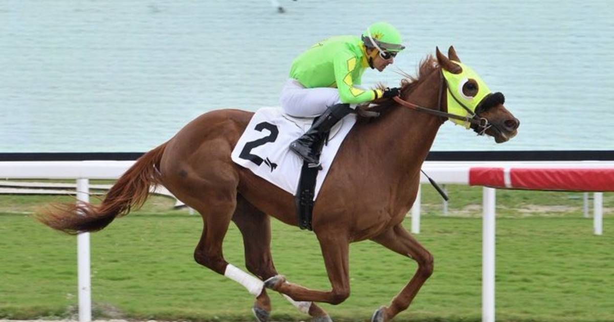 Leonel Reyes gana la primera del año con el mejor dividendo de este ...