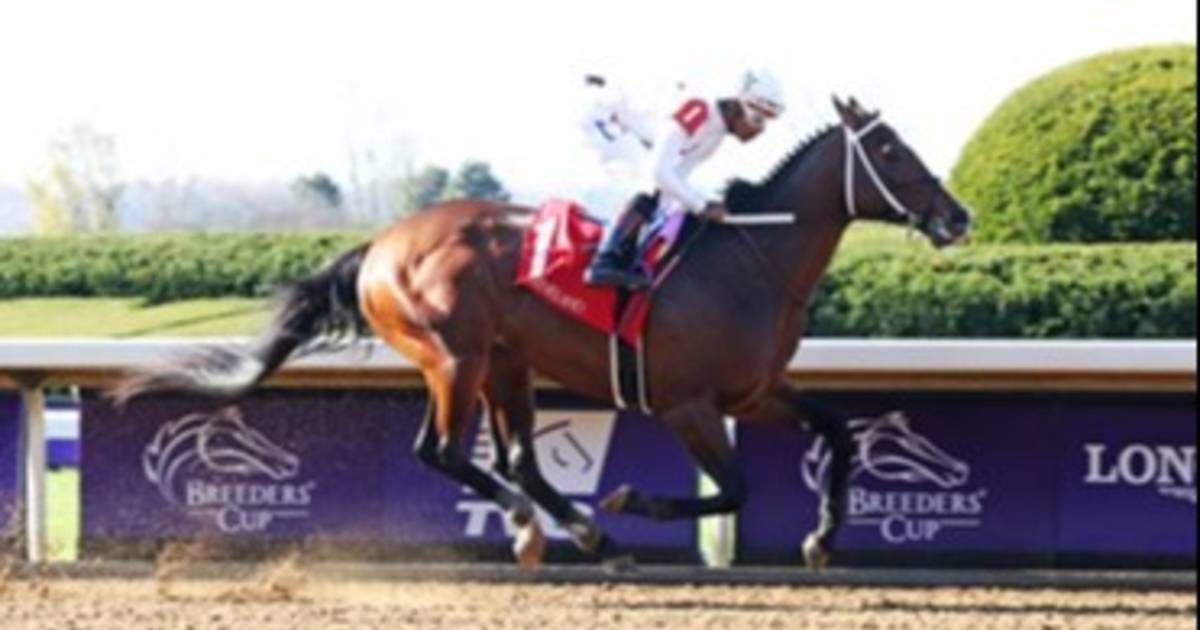 Nace el primer hijo de este impresionante sprinter en Estados Unidos