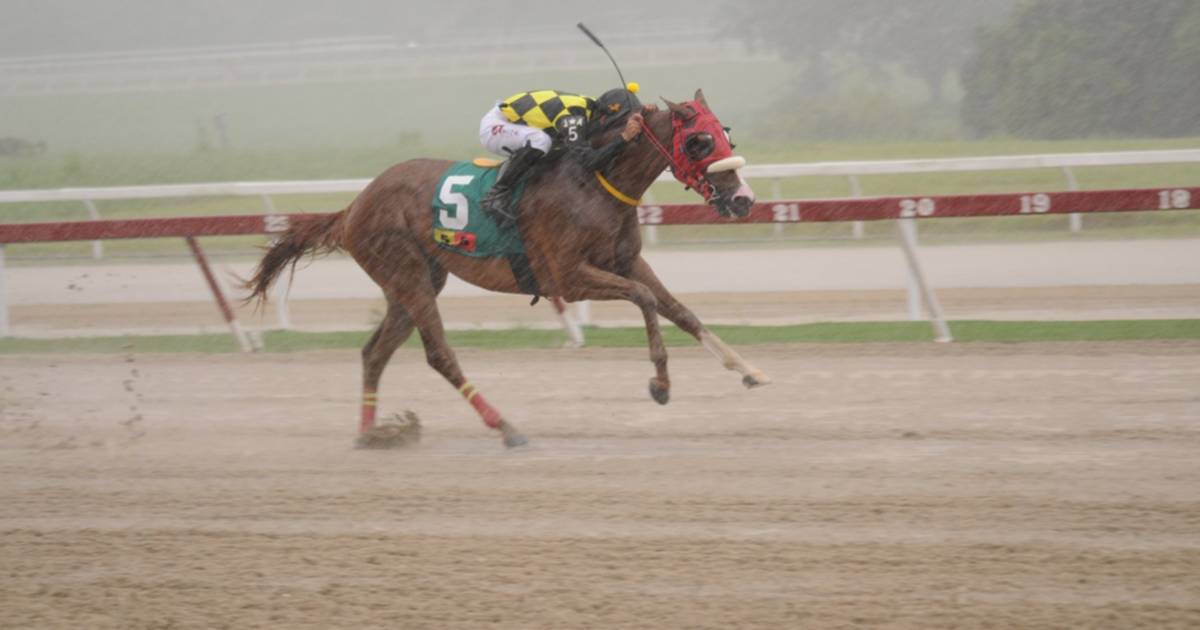 Alazana de cuatro años vuelve a la pista de La Rinconada después de 161 ...