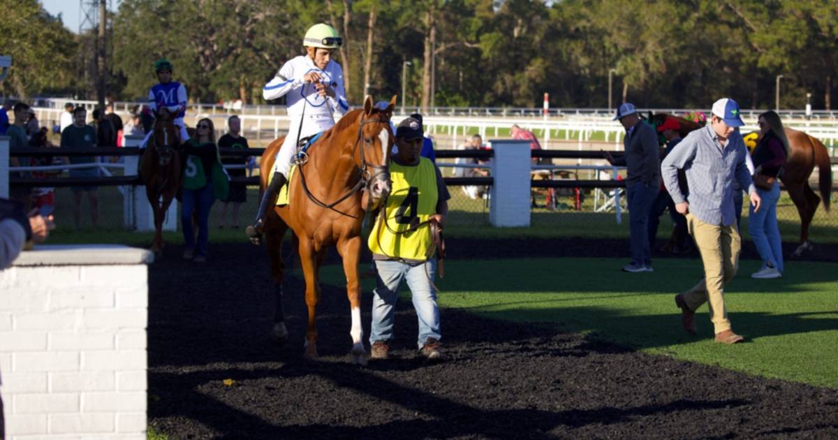 Conoce cuántas montas tiene Samuel Marín esta semana en Tampa Bay Down