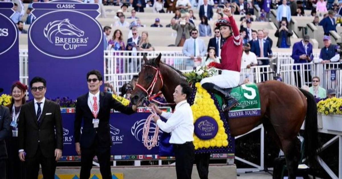 ¡Histórico! Forever Young consolida su dominio global con el máximo ...