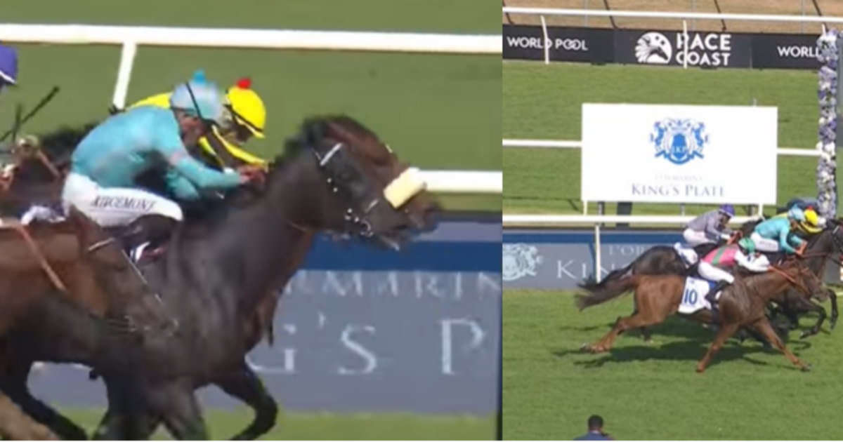 ¡Wao, Que carrera!: The Real Prince escribe su nombre en la Breeders ...