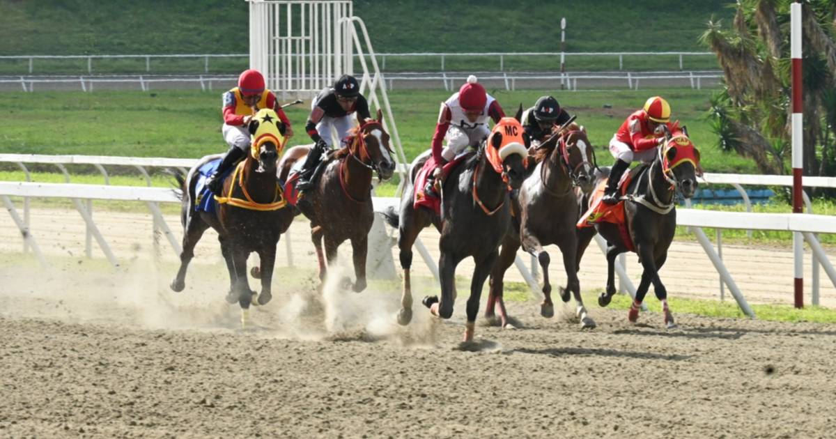 El caballo que decepcionó en su previa retorna este viernes a Coche y ...