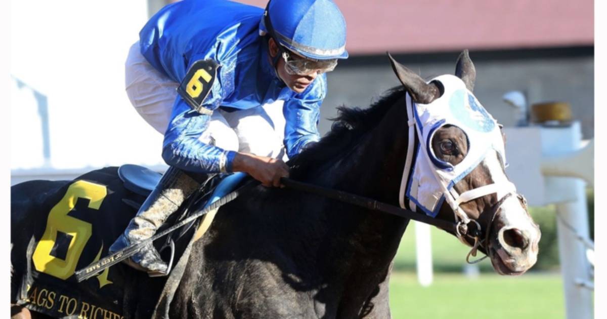 Nitrogen, Shisospicy o Good Cheer: ¿Quién se llevará el Eclipse Award ...