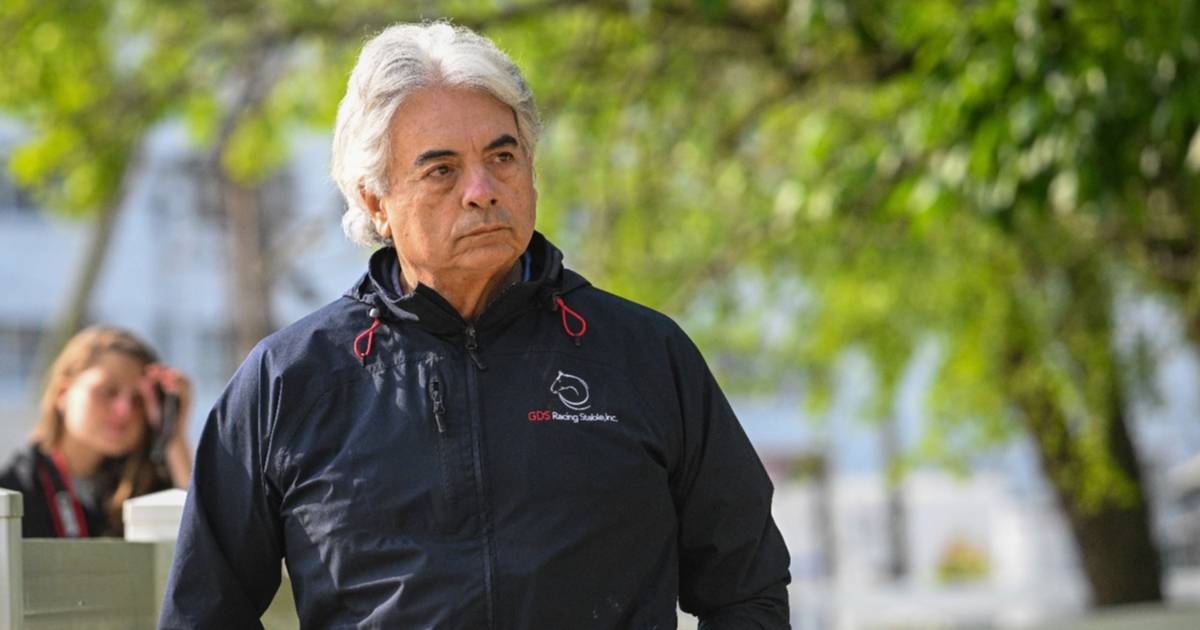 Gustavo Delgado pone la mira en Tampa Bay Downs con este potro nominado ...