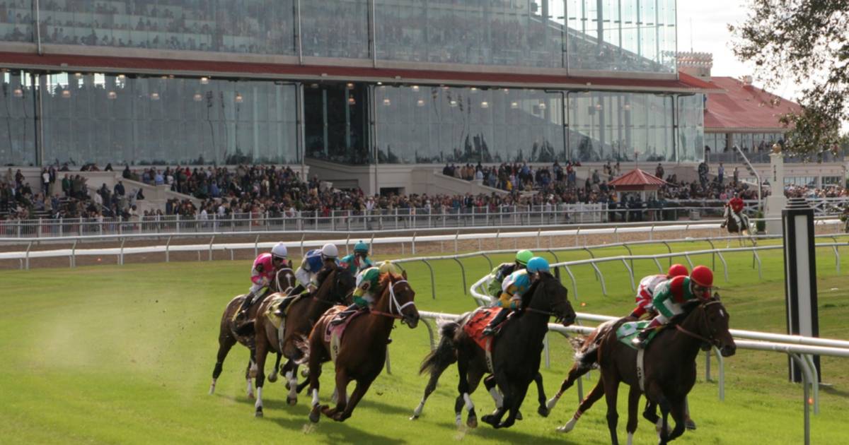 Gulfstream Park y Fair Grounds: Los epicentros de los stakes en febrero ...