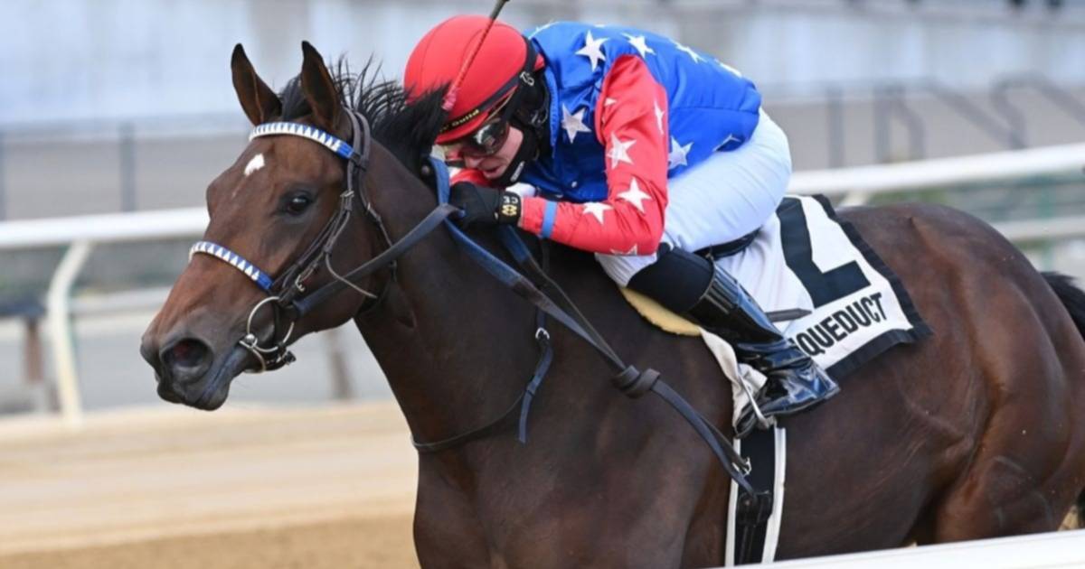¡Tendrán que correrle! Jinete venezolano lleva una fija para este ...