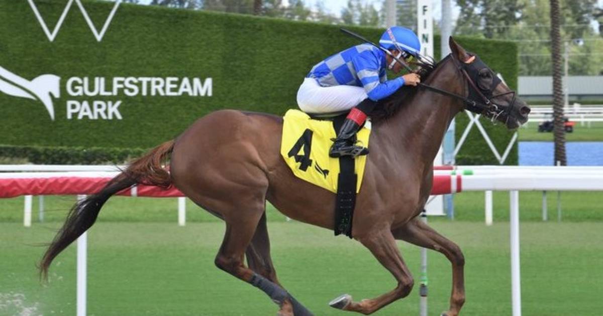 ¿Buscas una fija para el viernes en Gulfstream Park? McMullen llega con ...