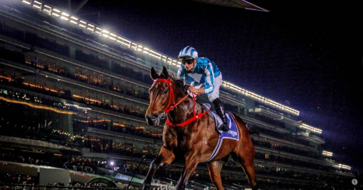 Descubra a los caballos legendarios que marcaron récords millonarios en ...