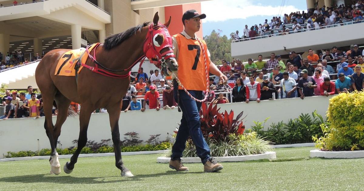 Datos de Ultima Hora para el Hipódromo La Rinconada 04-02-2024