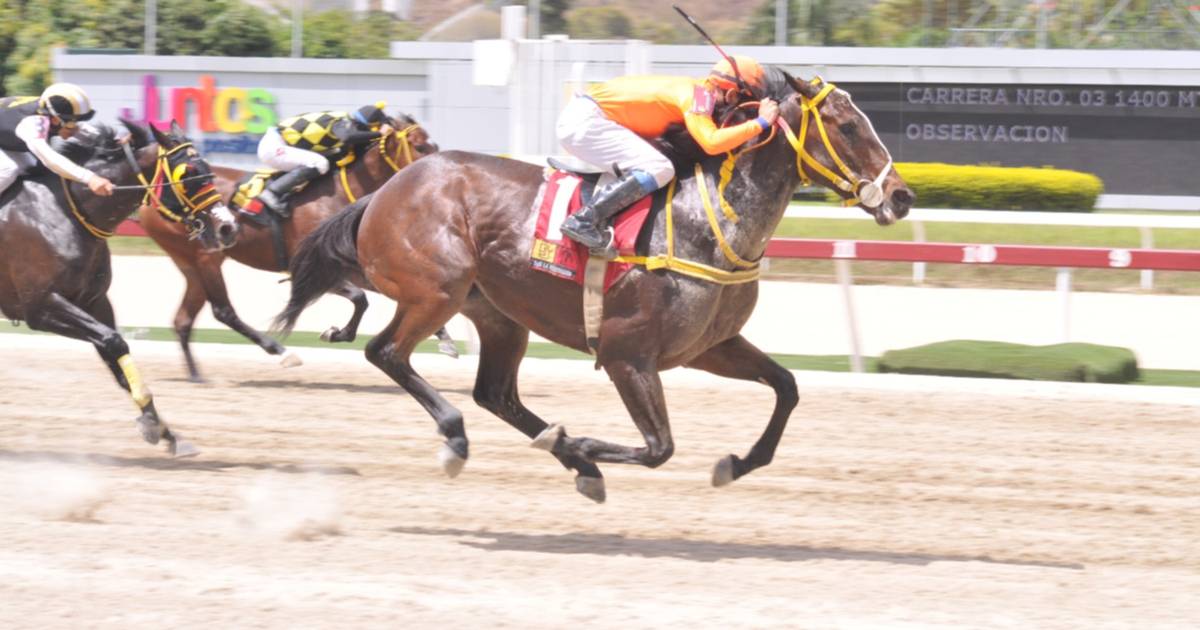 César Cachazo reaparece hijo de yegua ganadora clásica del Caribe