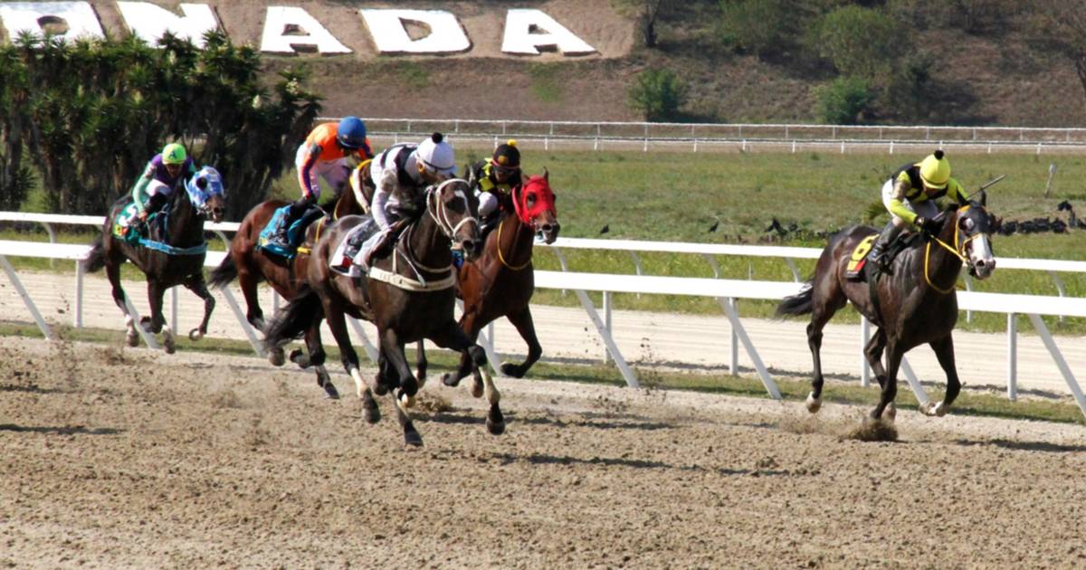La octava reunión en La Rinconada viene con diez carreras el domingo