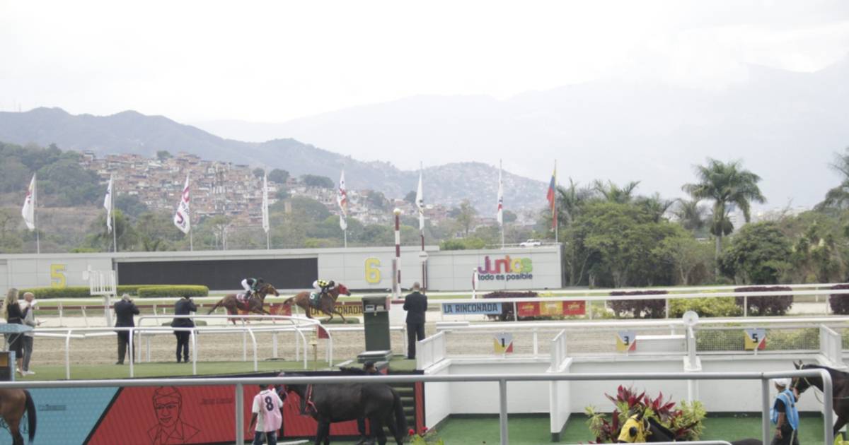 Datos de última hora para el Hipódromo Internacional La Rinconada 23-2-2025