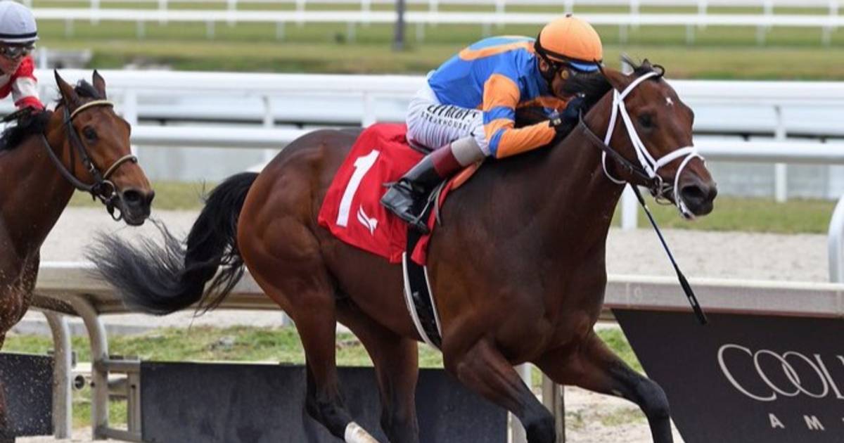 John Velazquez lleva hijo de Curlin este jueves que sorprendió en su ...