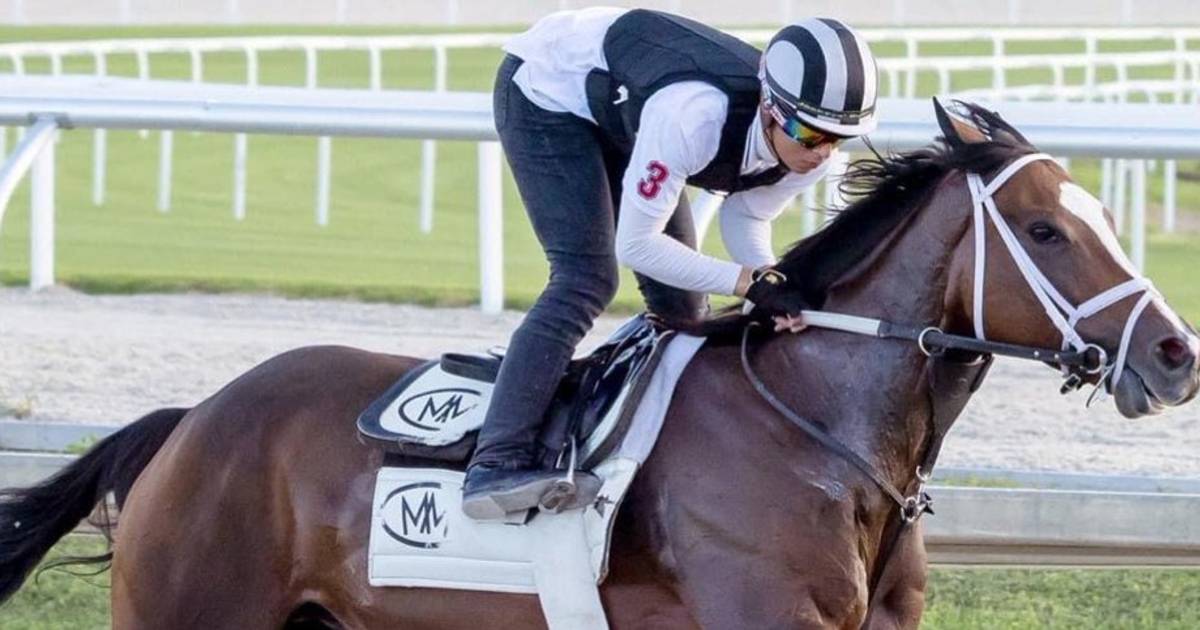 El aprendiz sensación de Gulfstream Park: las mejores montas de Yolber ...