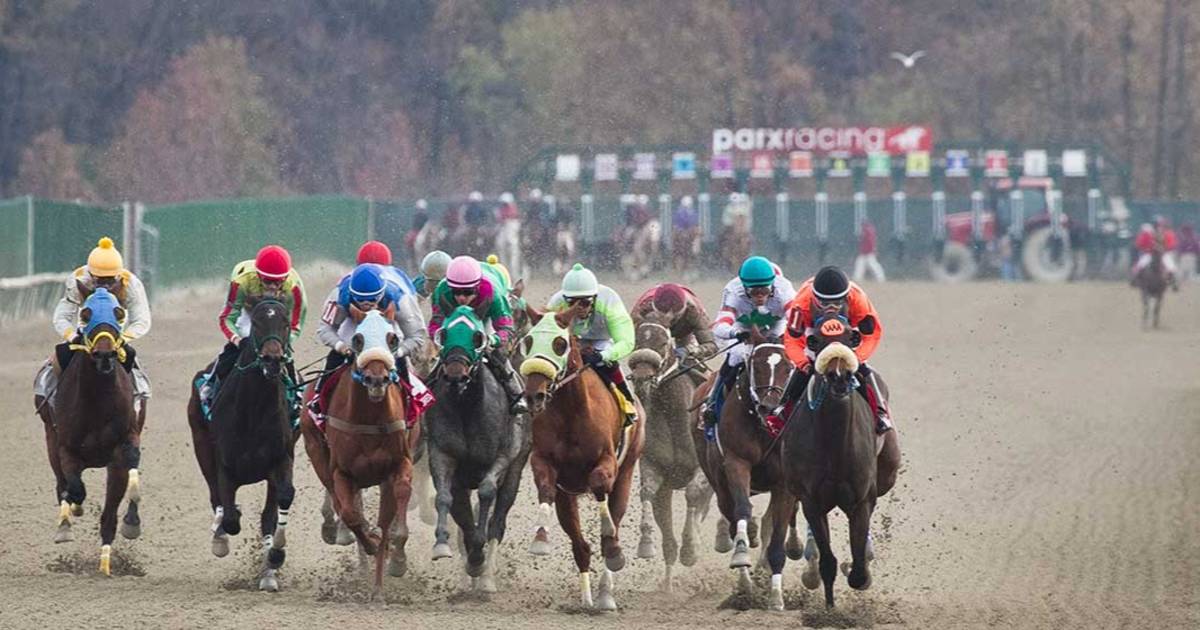 Pronósticos Parx Racing: picks gratis y el dato clave para el miércoles ...