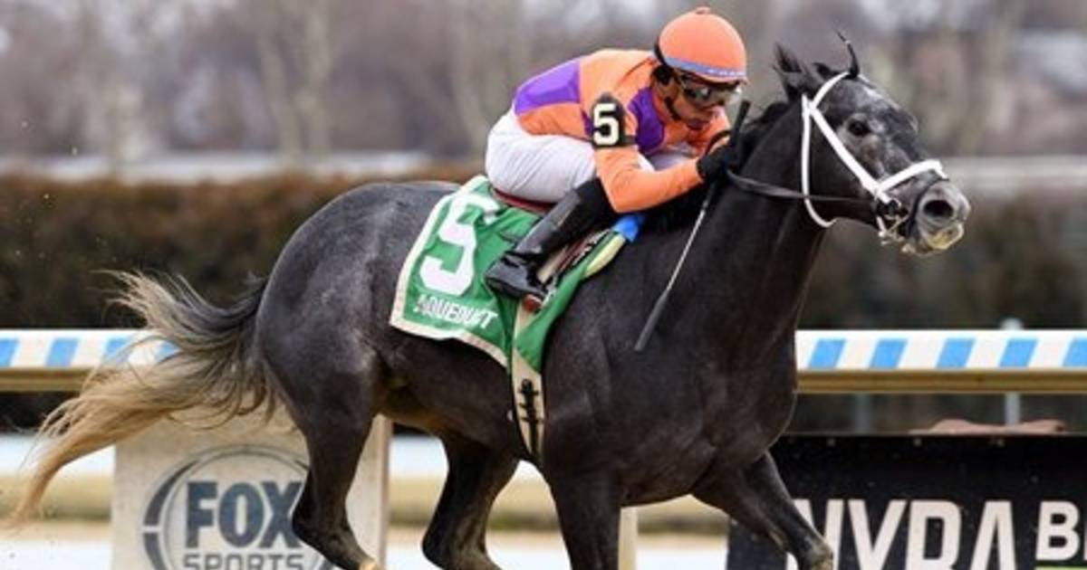 ¿Cuál es el mejor del cuarteto de Brad Cox en esta clasificatoria al ...