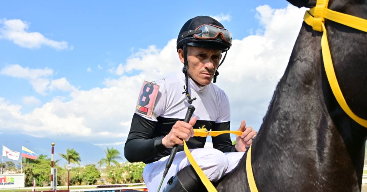 José Gilberto Hernández espera dejar un buen dividendo con esta yegua ...