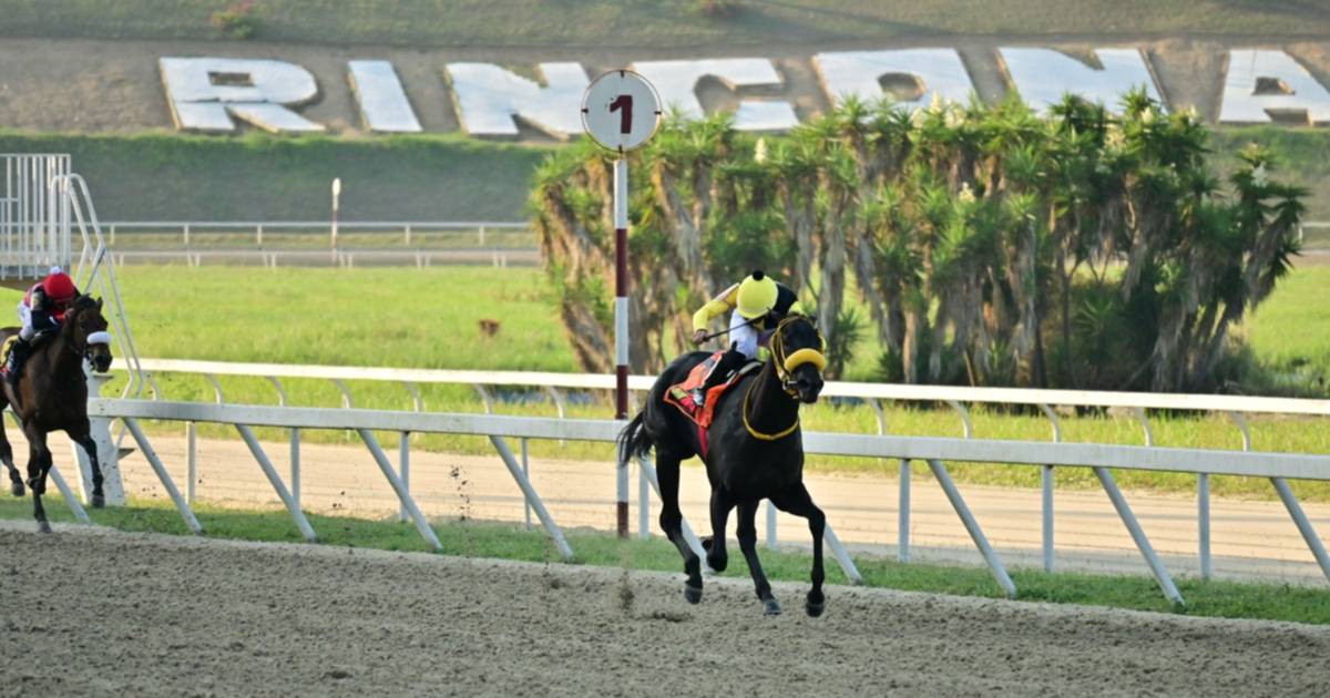 Así ajustó el dato más corrido en el Clásico Ana María Freudman