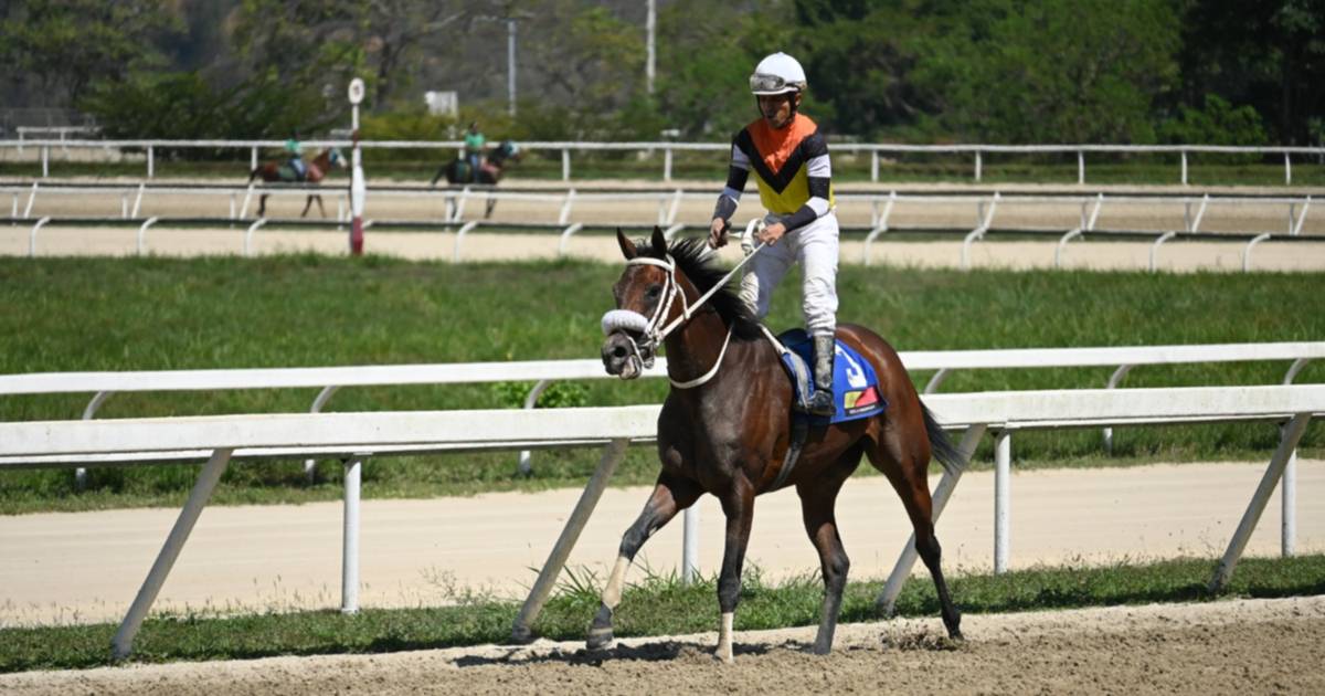 Así ajustó Daniela Runner para su carrera en el Clásico Gustavo J Sanabria