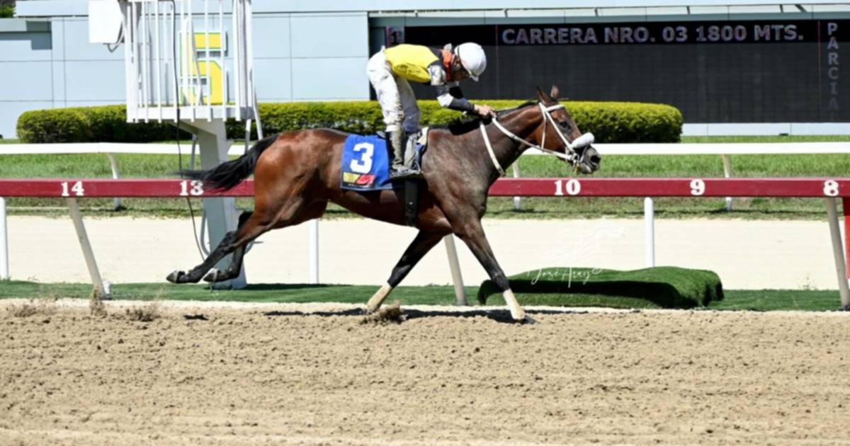 Daniela Runner hace suya la victoria en el Clásico Gustavo J. Sanabria ...