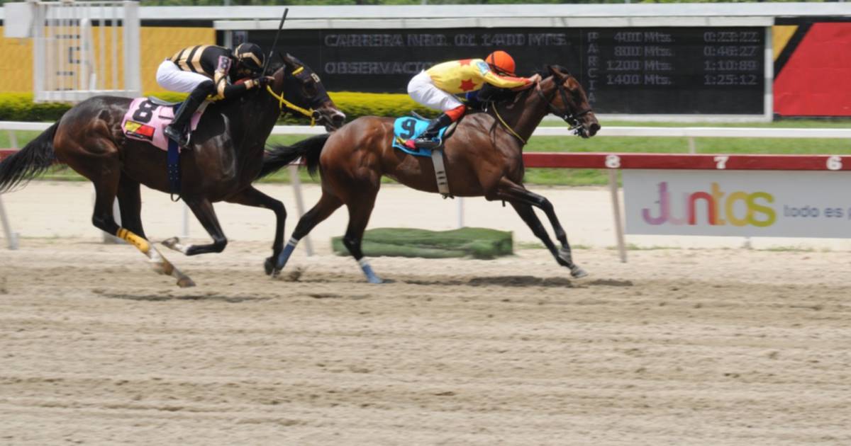 Mira lo que le pasó a Sylvanella en su carrera del domingo en La Rinconada
