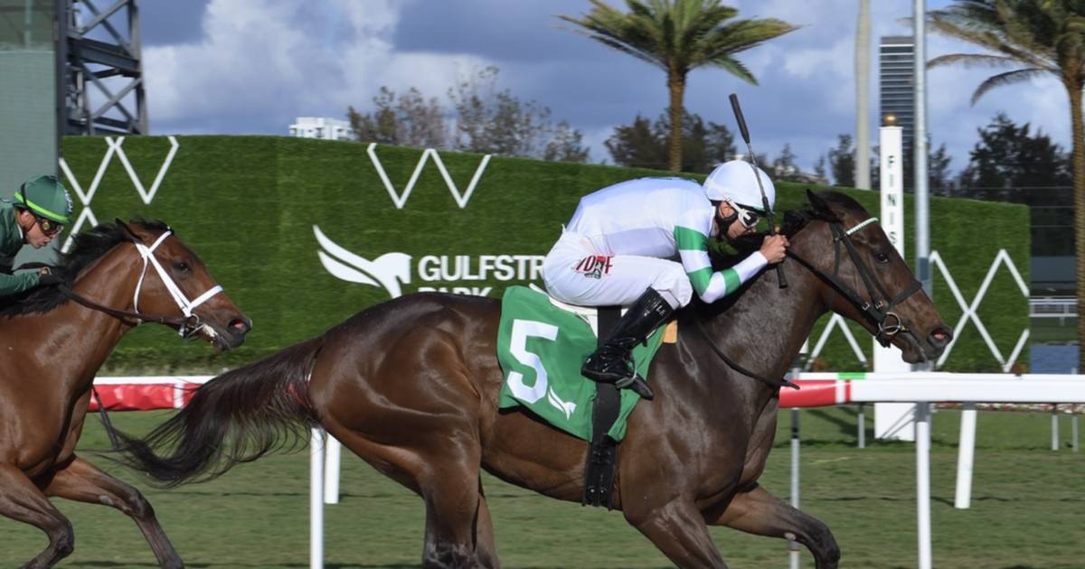 Leonel Reyes rueda en Gulfstream Park