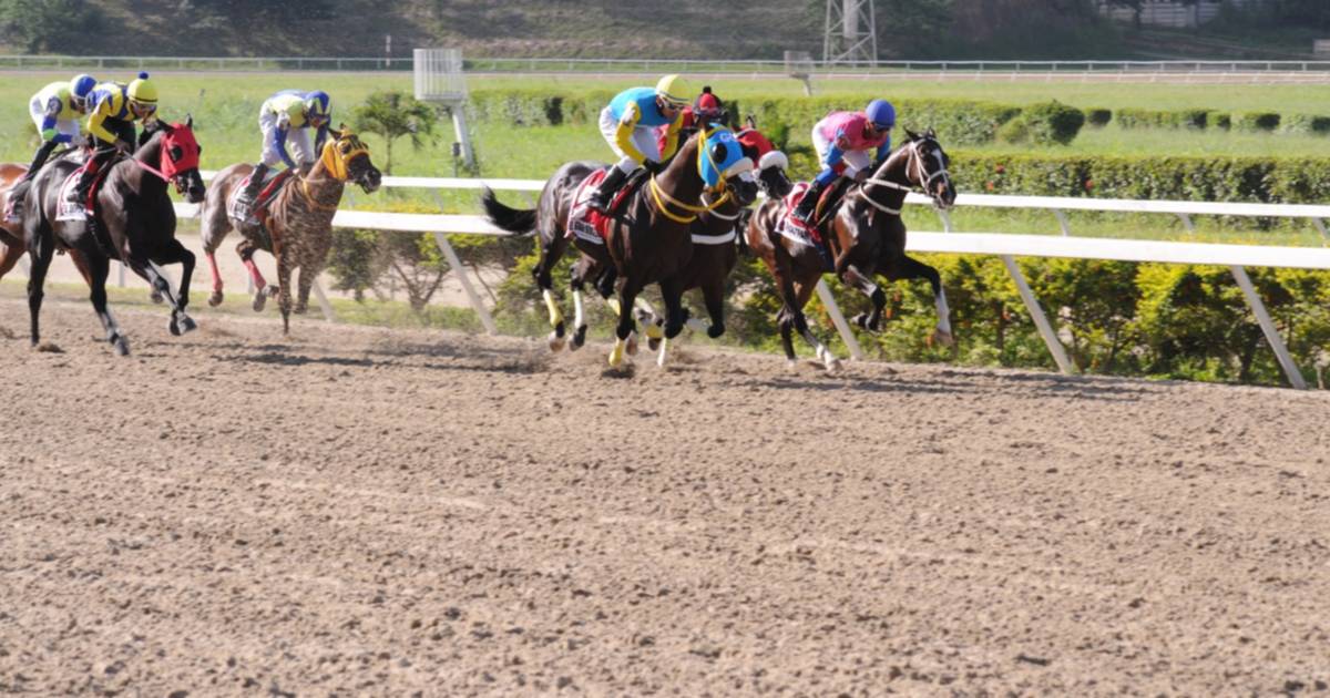 César Cachazo reaparece yegua que tiene 217 sin competir en La Rinconada