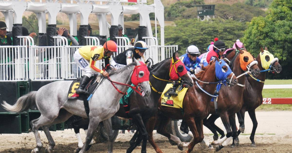 Un fijo en la R10: El ejemplar que brilla con el mejor ajuste en La ...