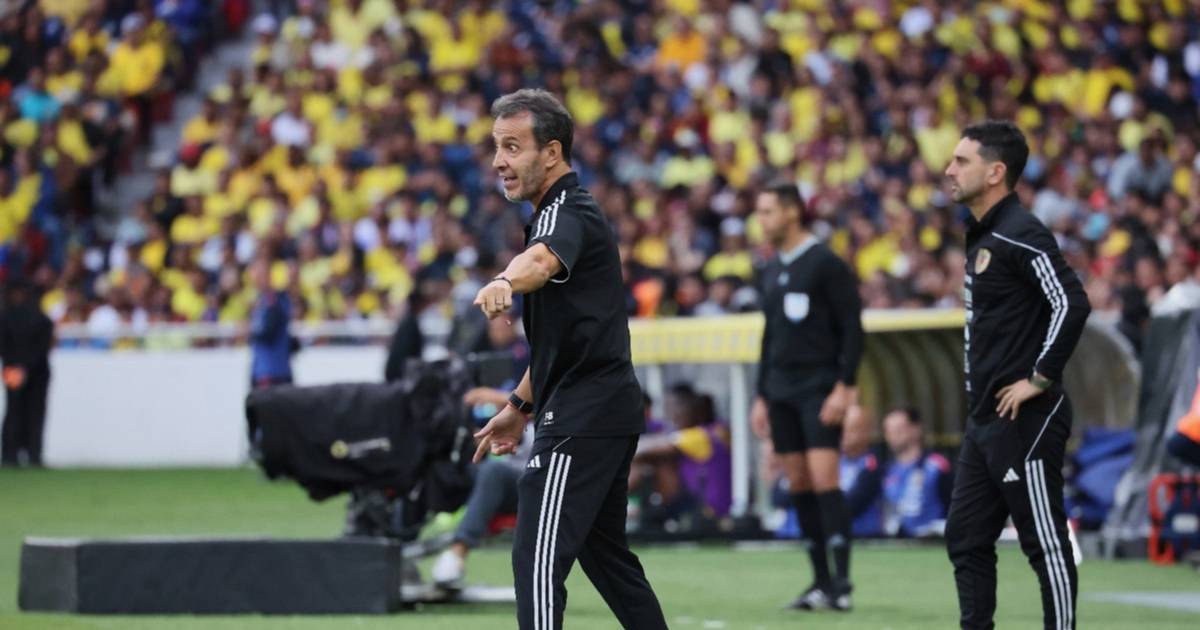 El partido ante Perú sería la "última oportunidad" de Fernando "Bocha ...