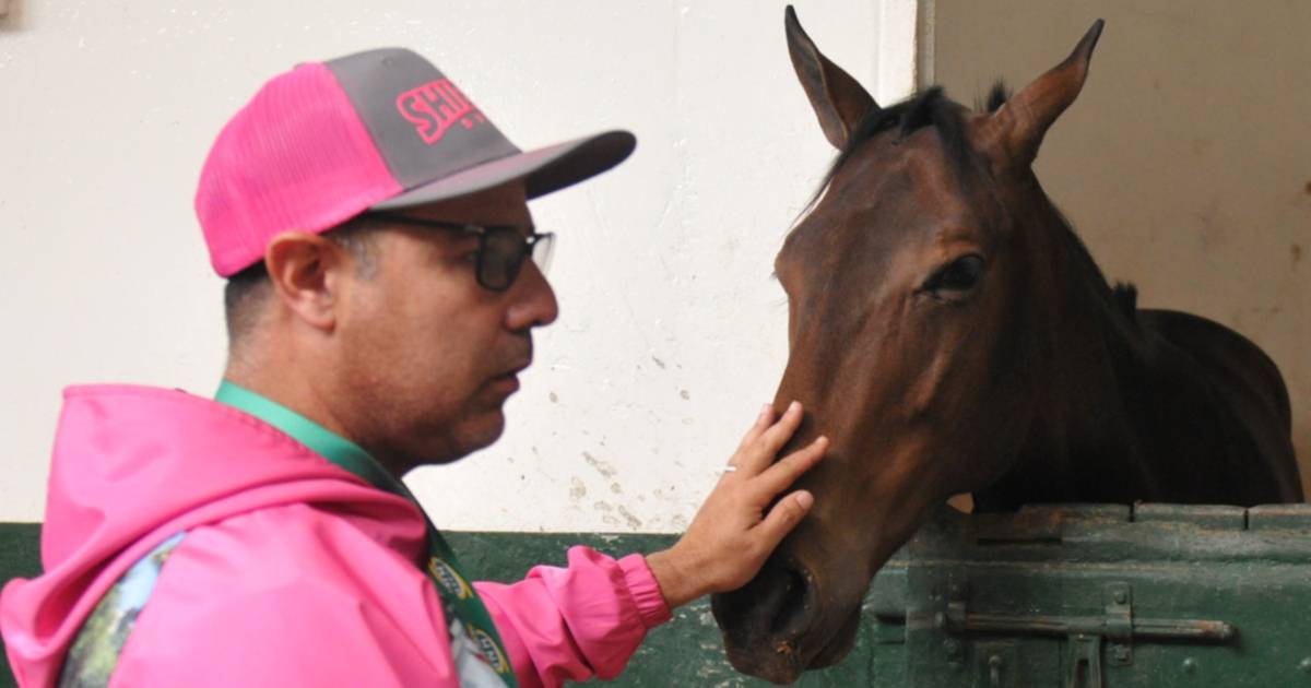 Conoce el ejemplar que gusta mucho en la cuadra de Luis Peraza para ...