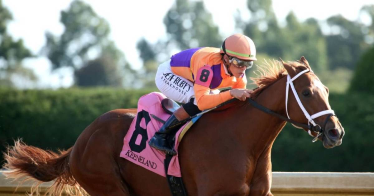 Further Ado encabeza el grupo de potros en el Tampa Bay Derby G3 en la ...