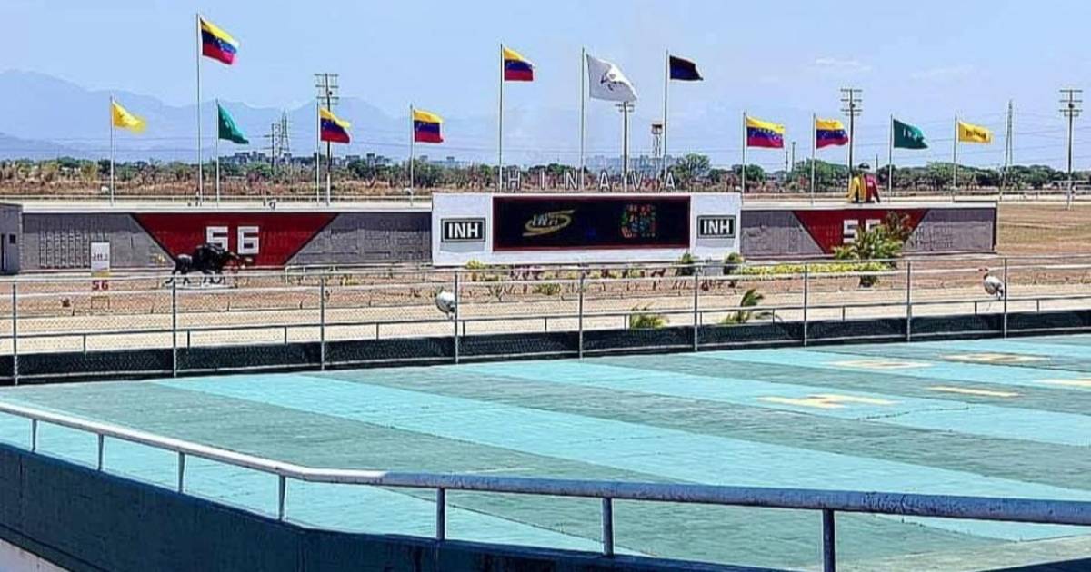 Pasión hípica en Carabobo: Todo a punto para la octava reunión del ...