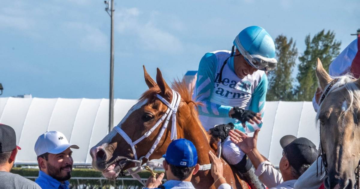 Conoce el tiempo que tenía Daniel Centeno sin ganar un Graded Stakes en ...