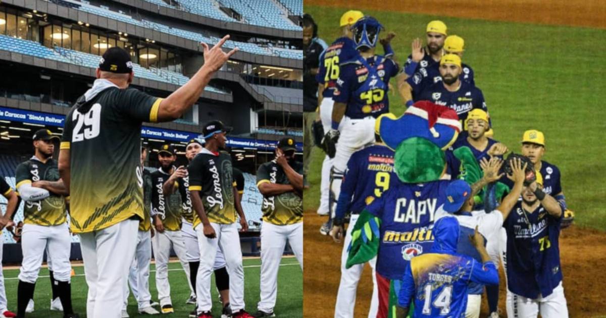 LVBP: Leones y Magallanes entran en disputa por adquirir este ex ...