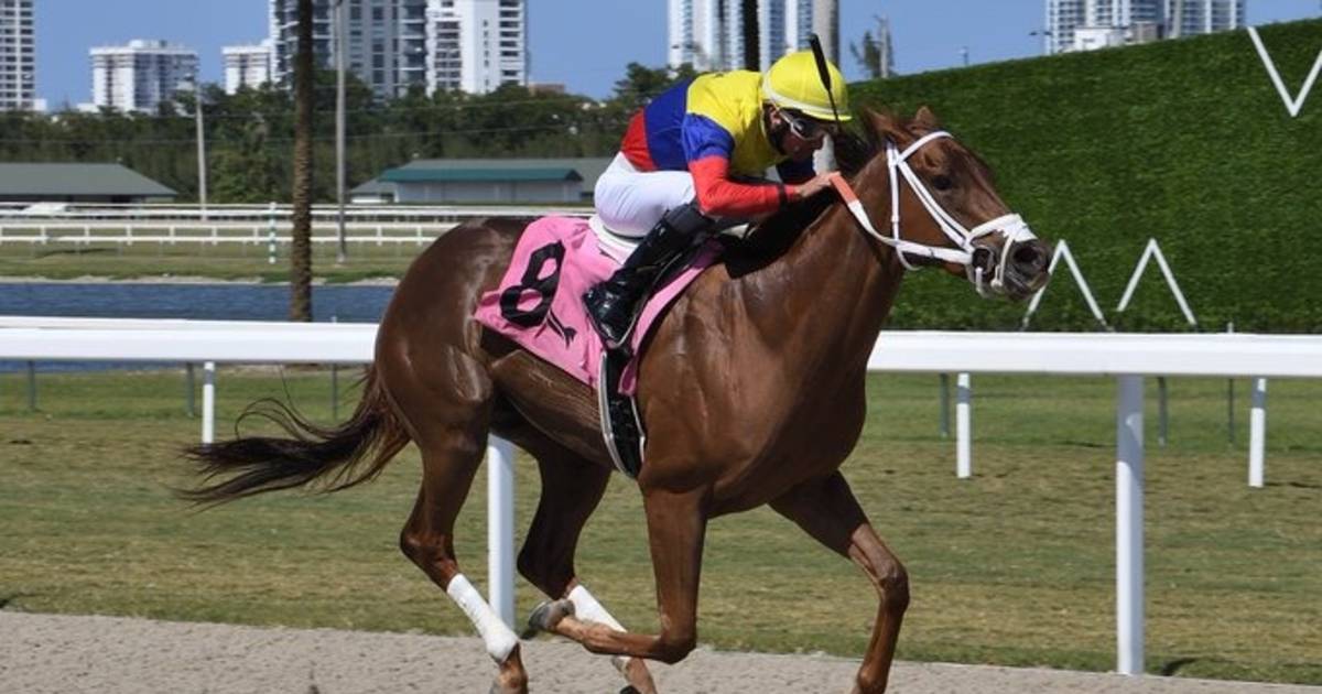Leonel Reyes duplicó en Gulfstream Park este jueves con batacazo incluido