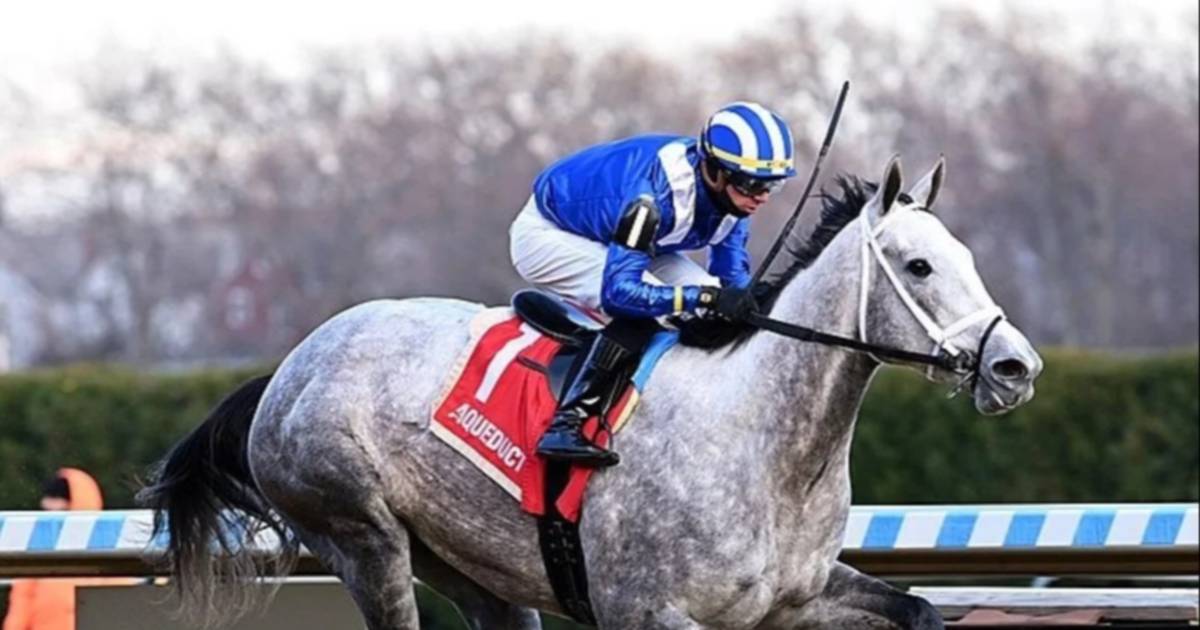 La Cara vs Muhima cara a cara por los puntos para la Kentucky Oaks