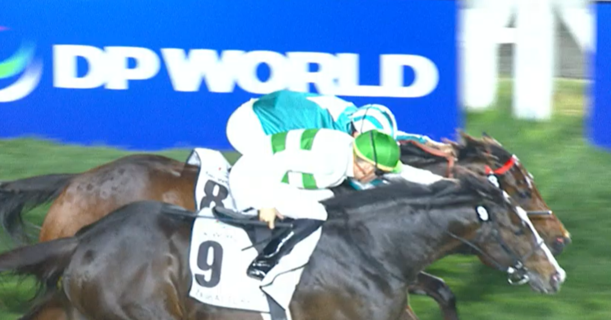 WOW el mejor caballo del mundo cae abatido por menos de nariz en la ...