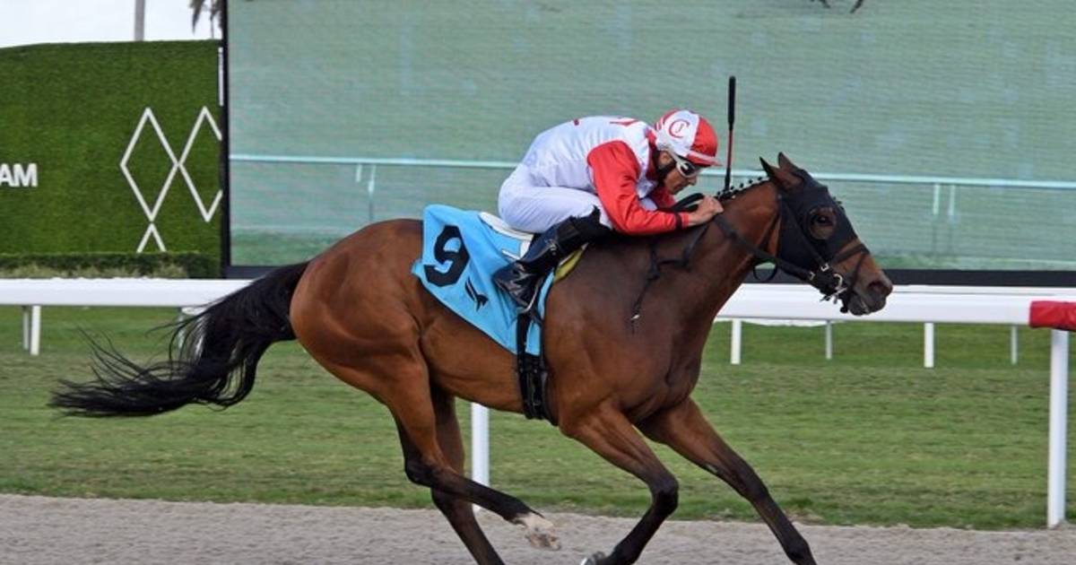 Leonel Reyes Ramos arrasa el fin de semana en Gulfstream Park