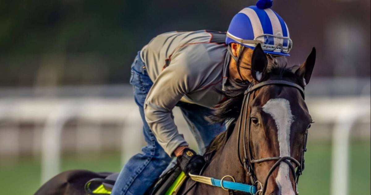 KentuckyDerby: Burnham Square por segunda vez voló en su ajuste final