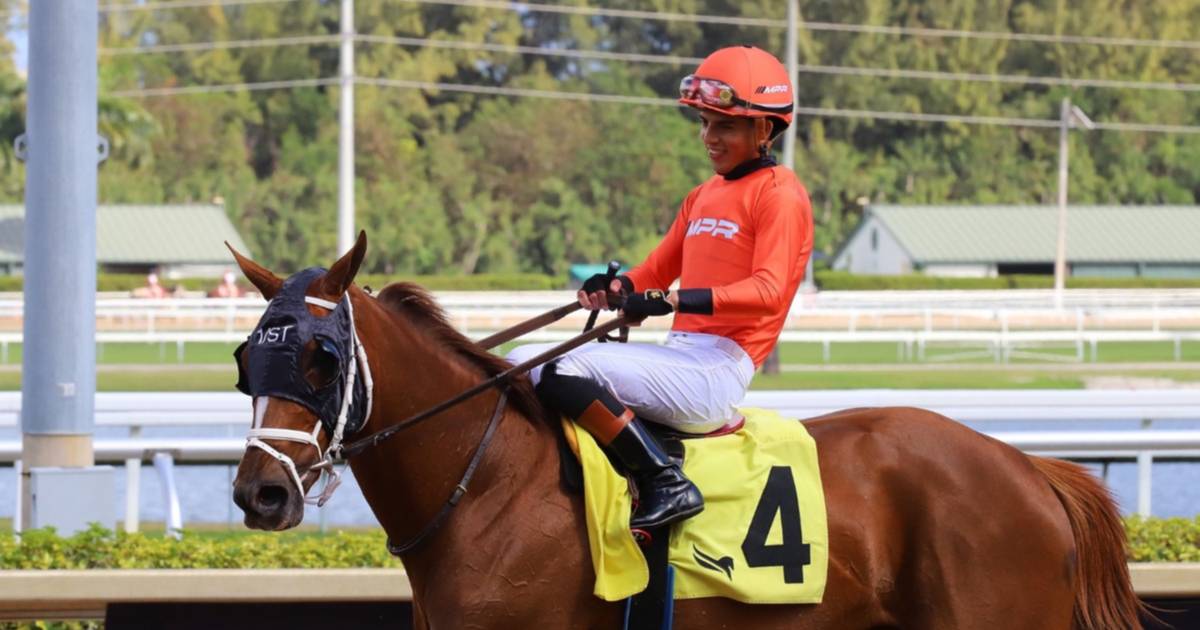 ¿Por qué la monta de Yolber Torres este viernes en Gulfstream Park es ...