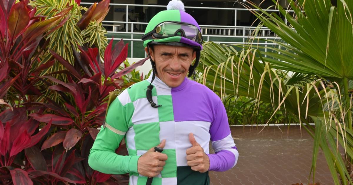José Gilberto Hernández quiere tumbar los cuadros con esta línea de ...