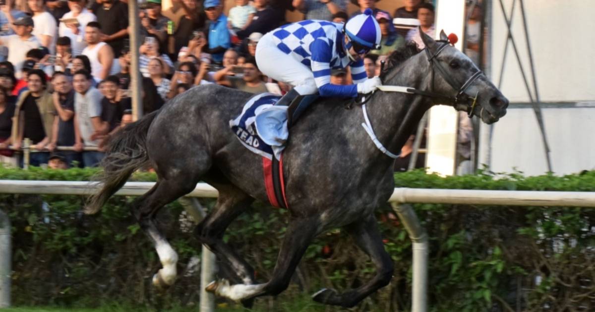Teao de Chile arrasa con feroz atropellada el Gran Premio ...