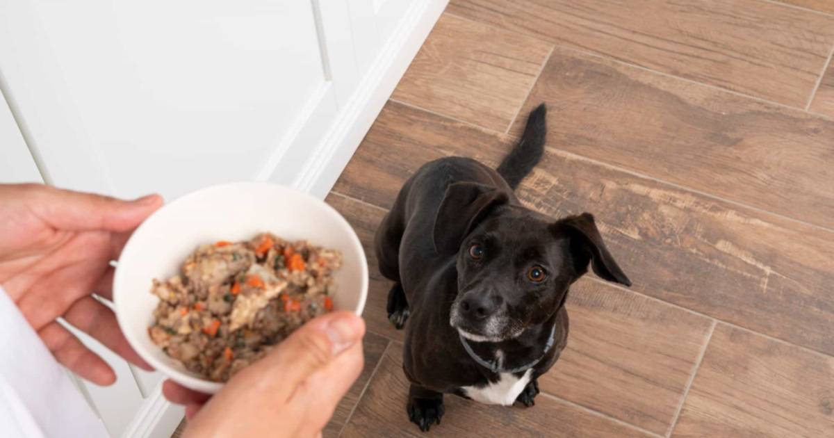 La dieta BARF: ¿Qué es, beneficios y contraindicaciones?