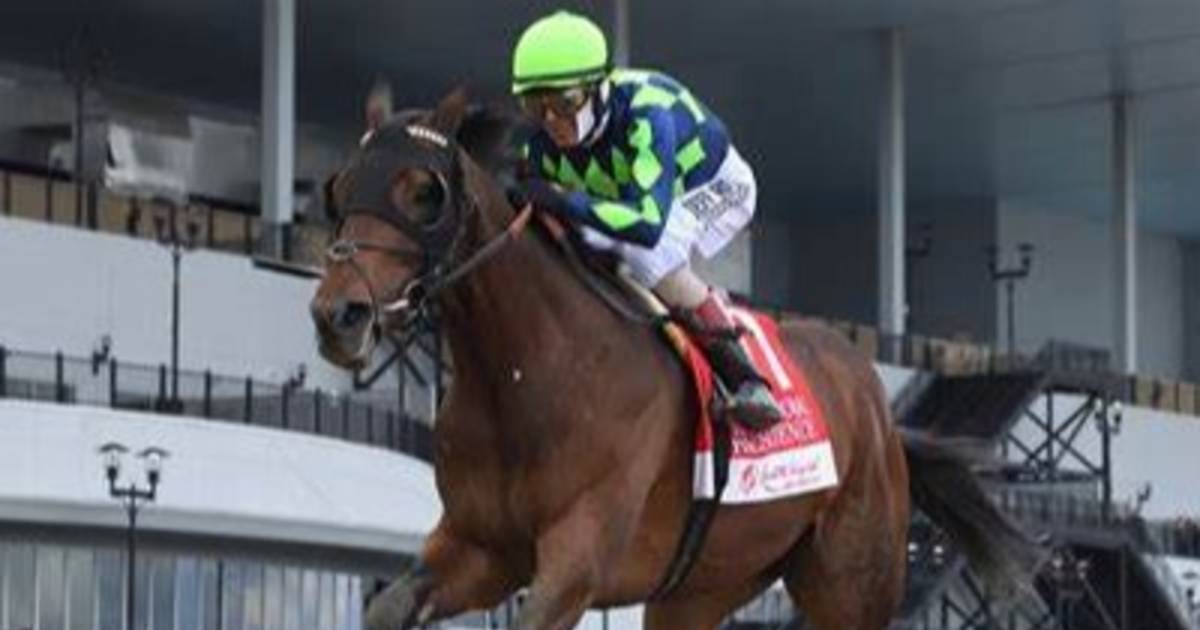 Bill Mott enfila a última hora a este ganador clásico al Belmont Stakes ...