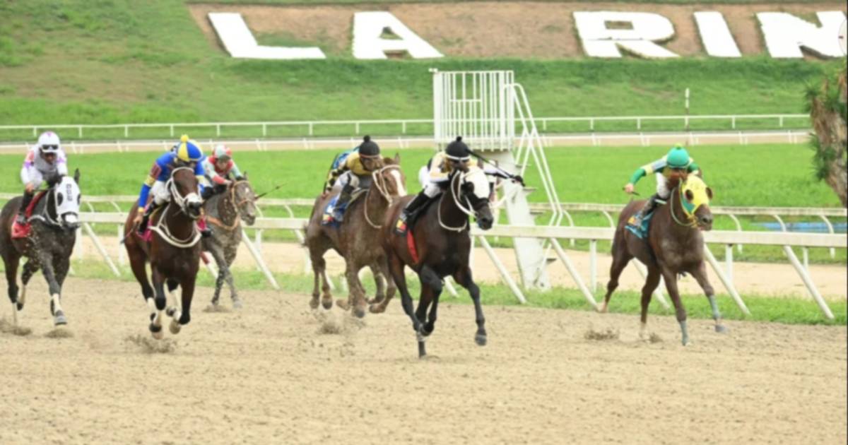 Así quedaron los resultados de las carreras en La Rinconada 18-5-2025